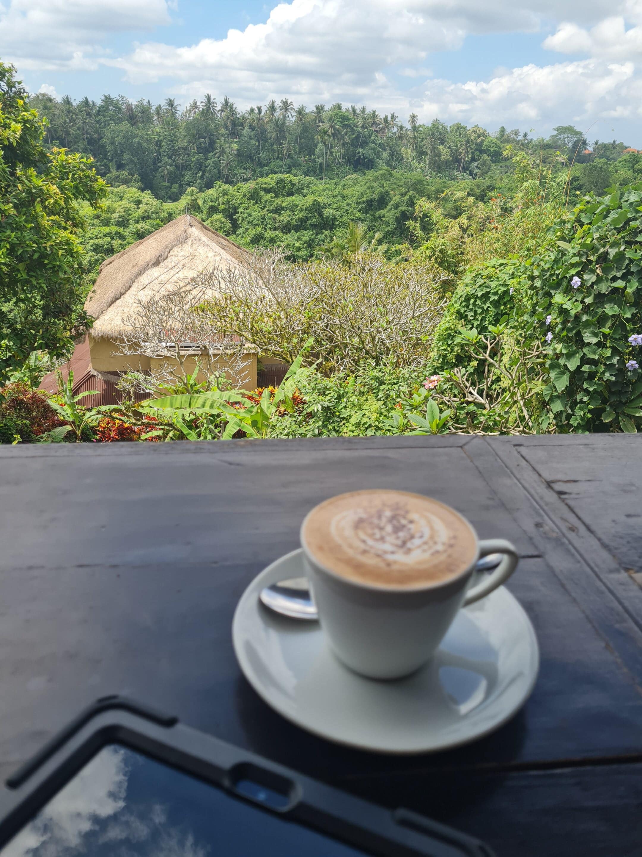 Best Cafes to Work from in Ubud for Inspiration and Productivity